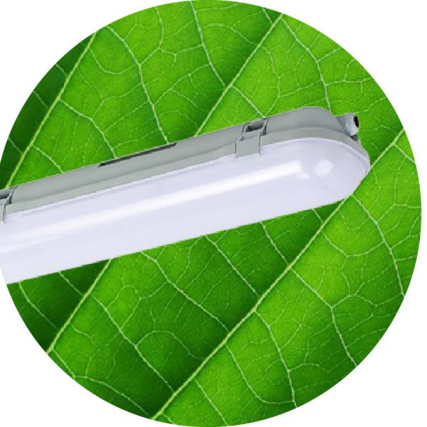 Ledex - Iluminación LED Eficiente