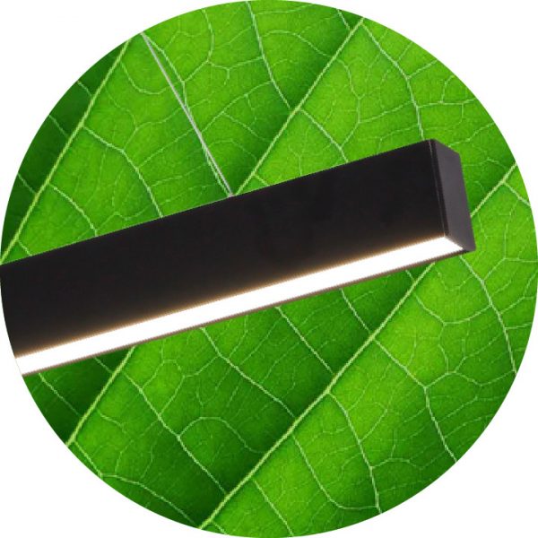 Ledex - Iluminación LED Eficiente