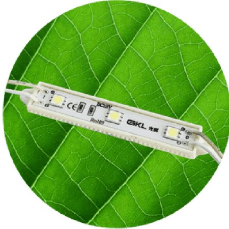 Ledex - Iluminación LED Eficiente